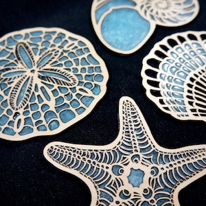 Laser Cut Shell Shapes File - Etsy