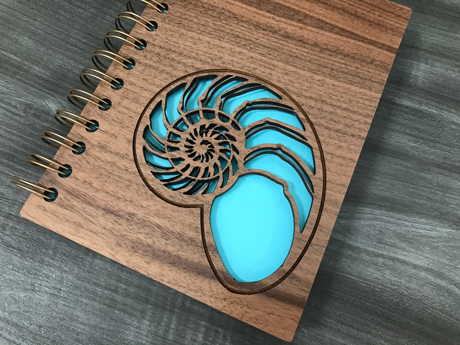 Laser Cut Shell Shapes File | Etsy