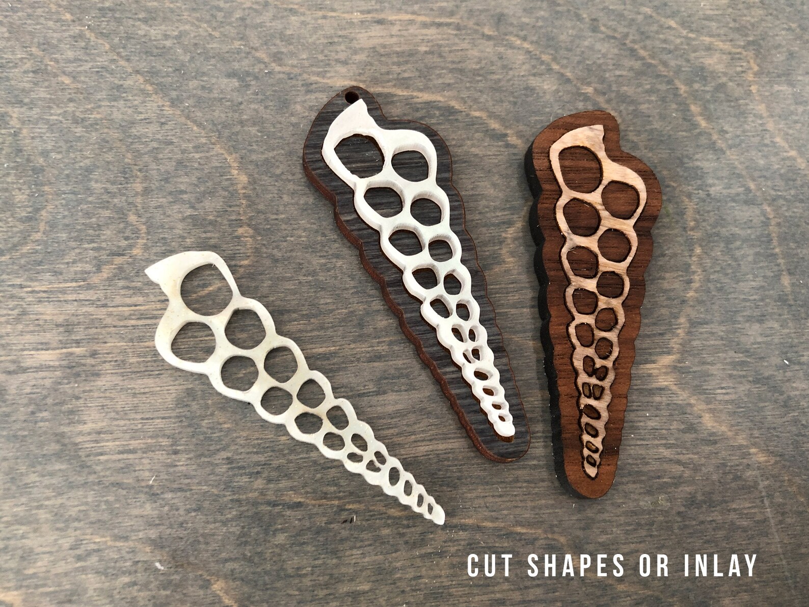 Shell Cross Section Laser Cut File Digital File Great for - Etsy