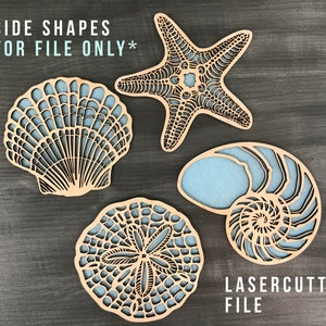 Laser Cut Shell Shapes File | Etsy
