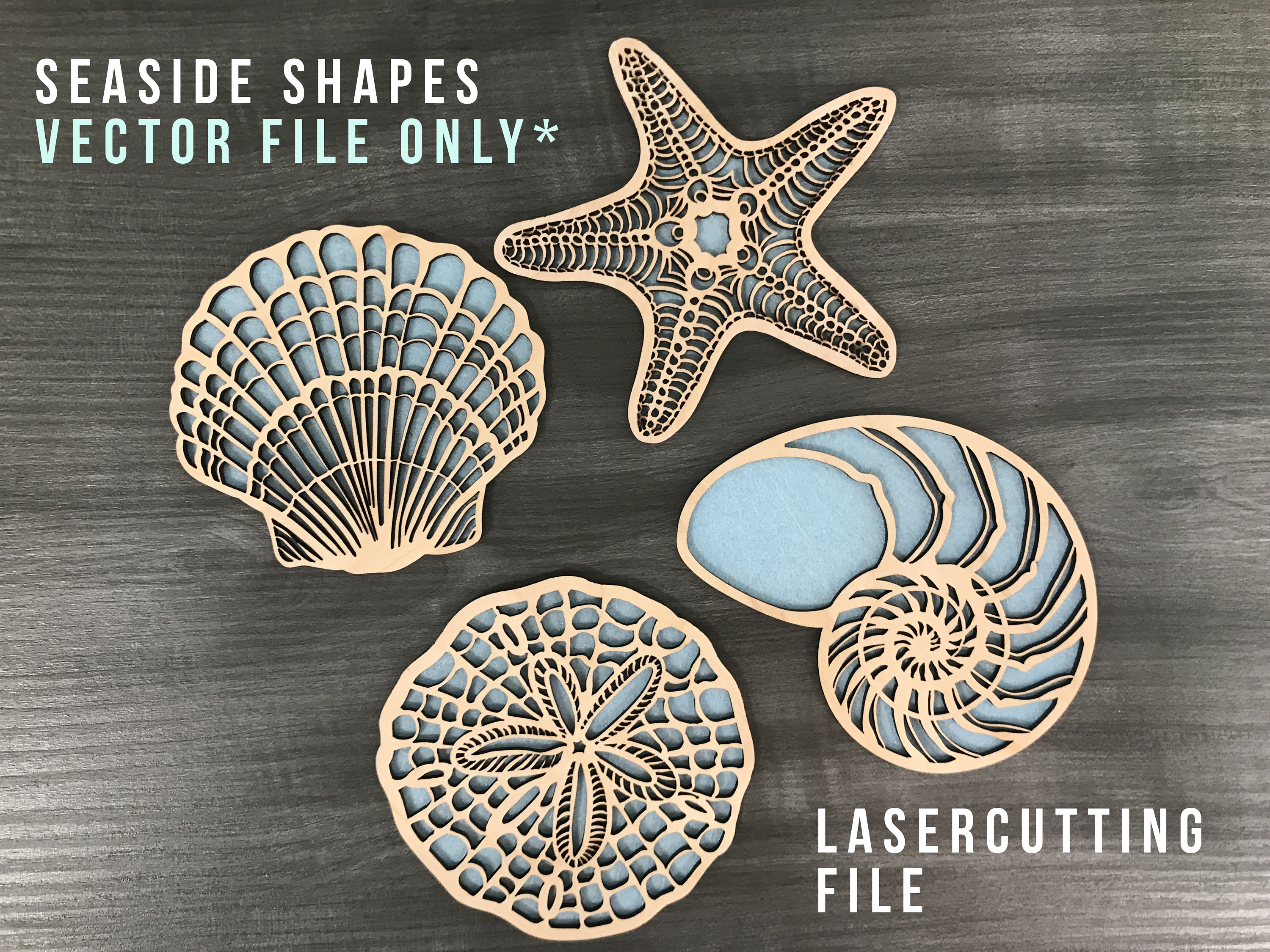Laser Cut Shell Shapes File | Etsy