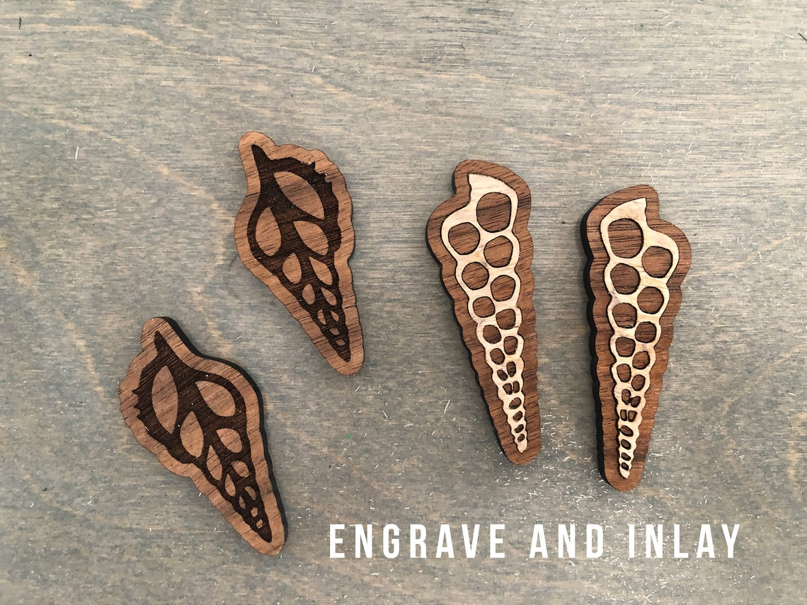 Shell Cross Section Laser Cut File Digital File Great for - Etsy