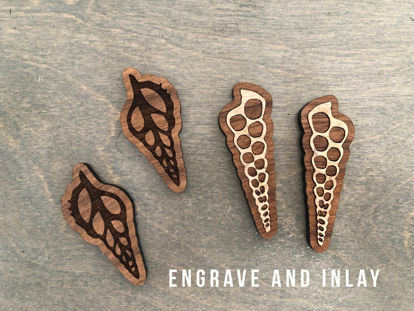 Shell Cross Section Laser Cut File Digital File Great for - Etsy