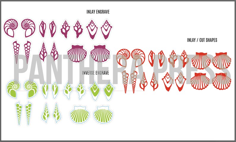 Shell Cross Section Laser Cut File Digital File Great for - Etsy