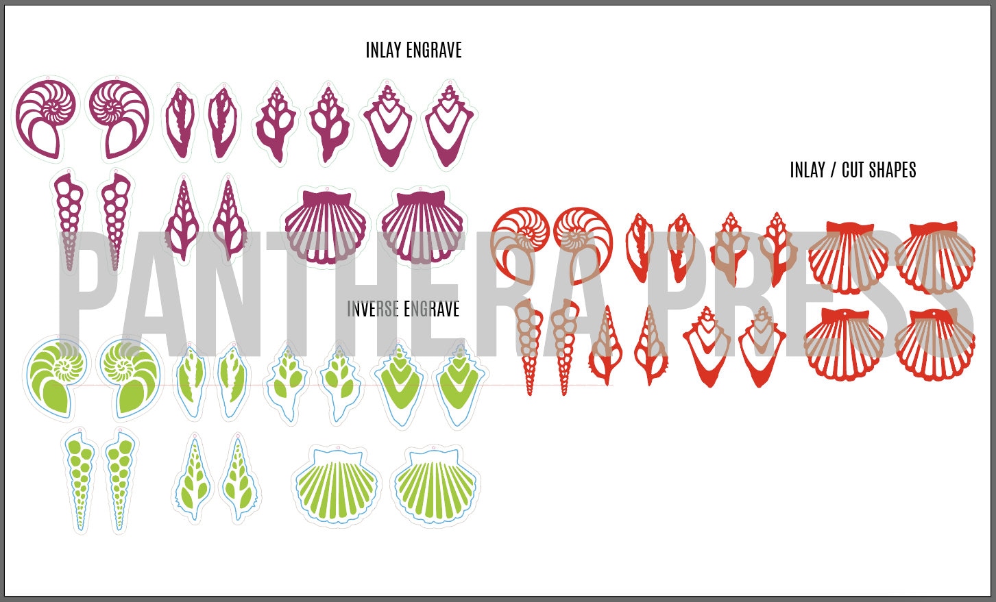 Shell Cross Section Laser Cut File Digital File Great for - Etsy Australia