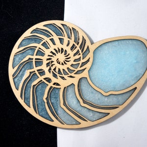 Laser Cut Shell Shapes File - Etsy