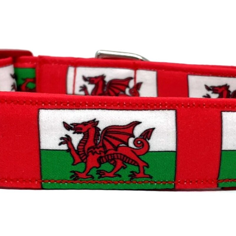 Dragon Dog Collar - Etsy