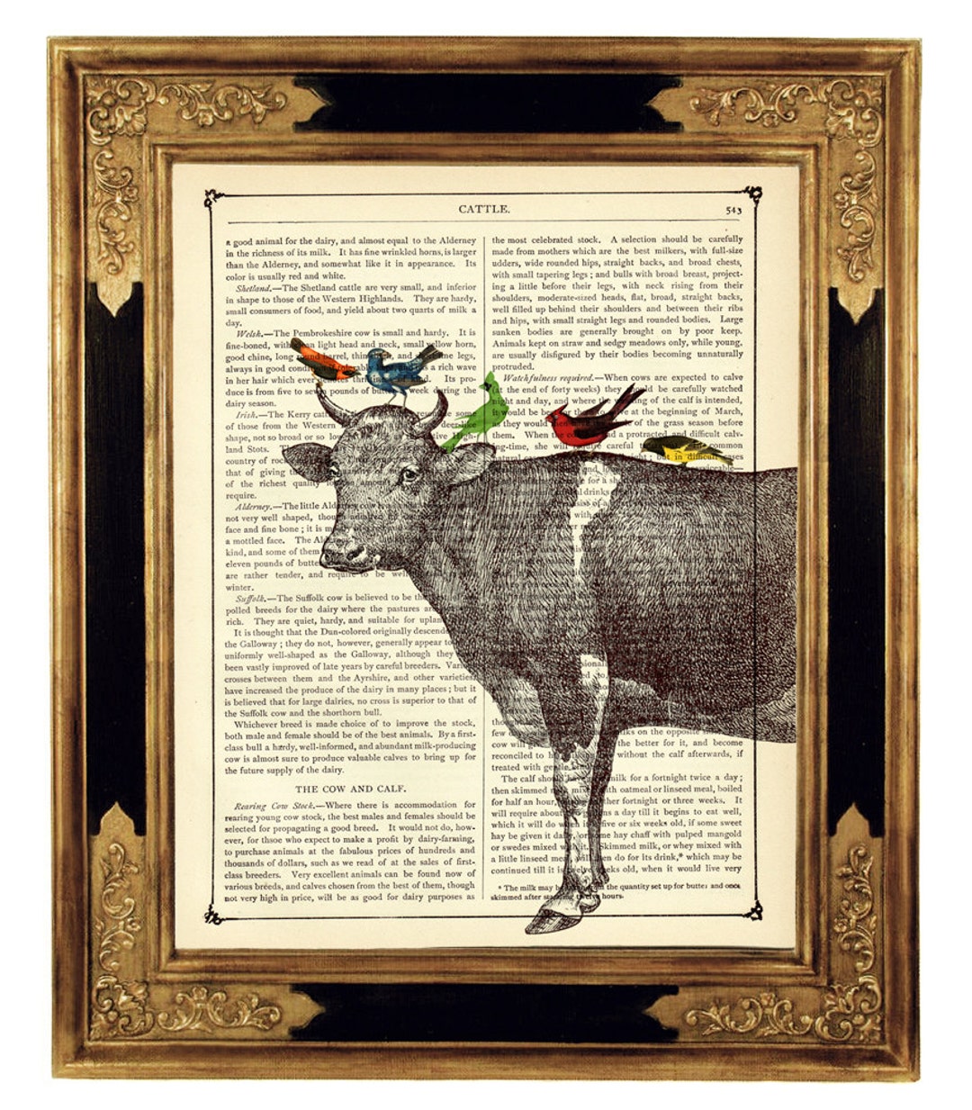 Cow With Birds Dictionary Art Country Chic Cottagecore Farm Poster ...