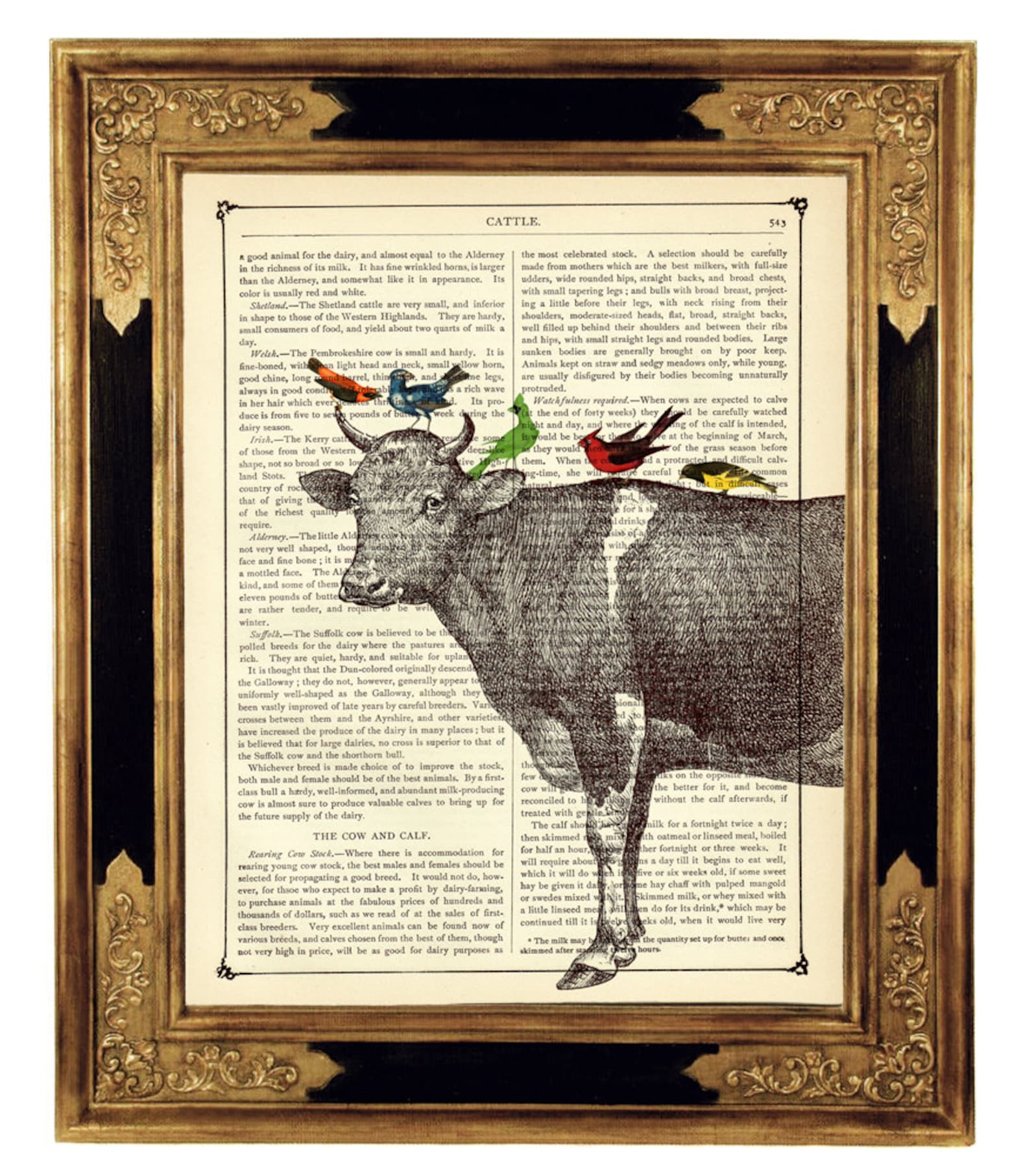 Cow With Birds Dictionary Art Country Chic Cottage Farm Poster | Etsy