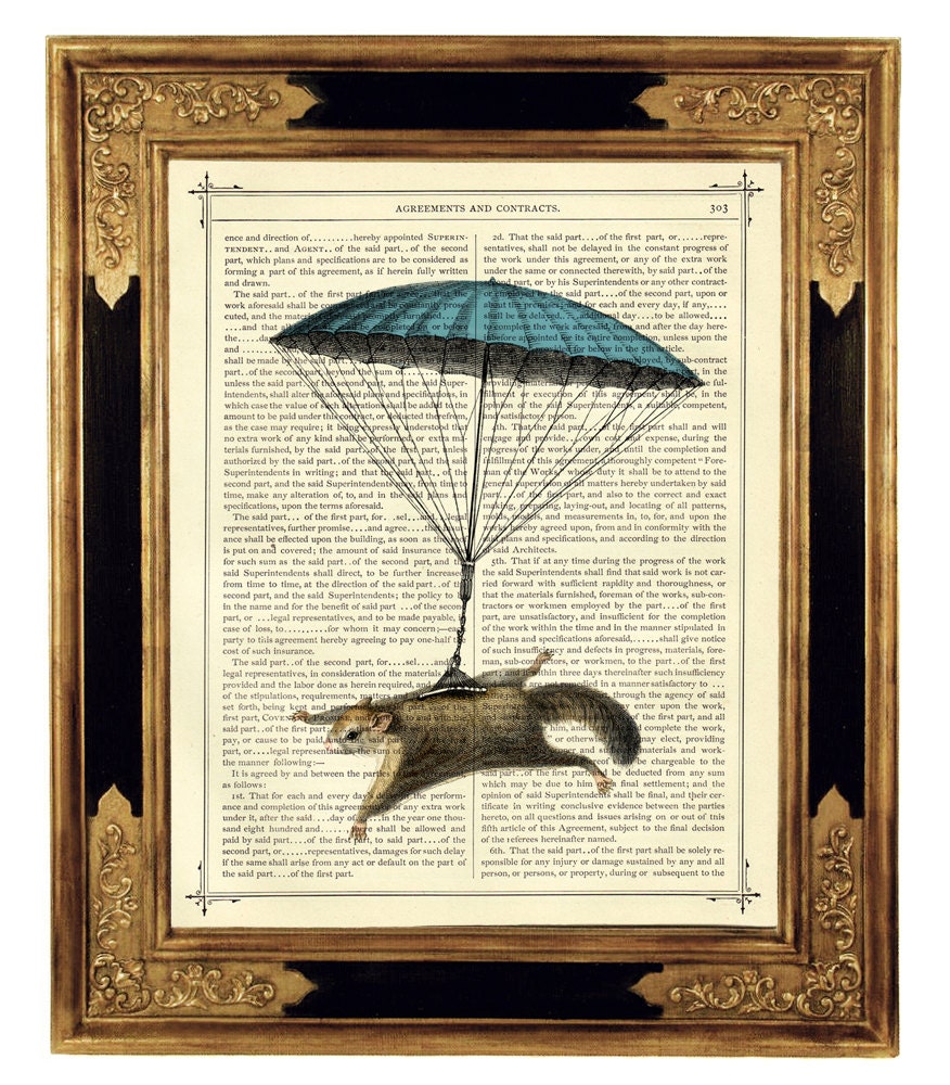 Flying Squirrel Art Print Blue Parachute Cottagecore - Vintage ...