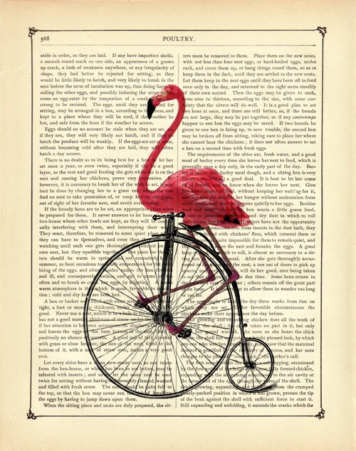 Art Print Flamingo Riding Bike Unicycle Penny Farthing Bicycle Shabby ...