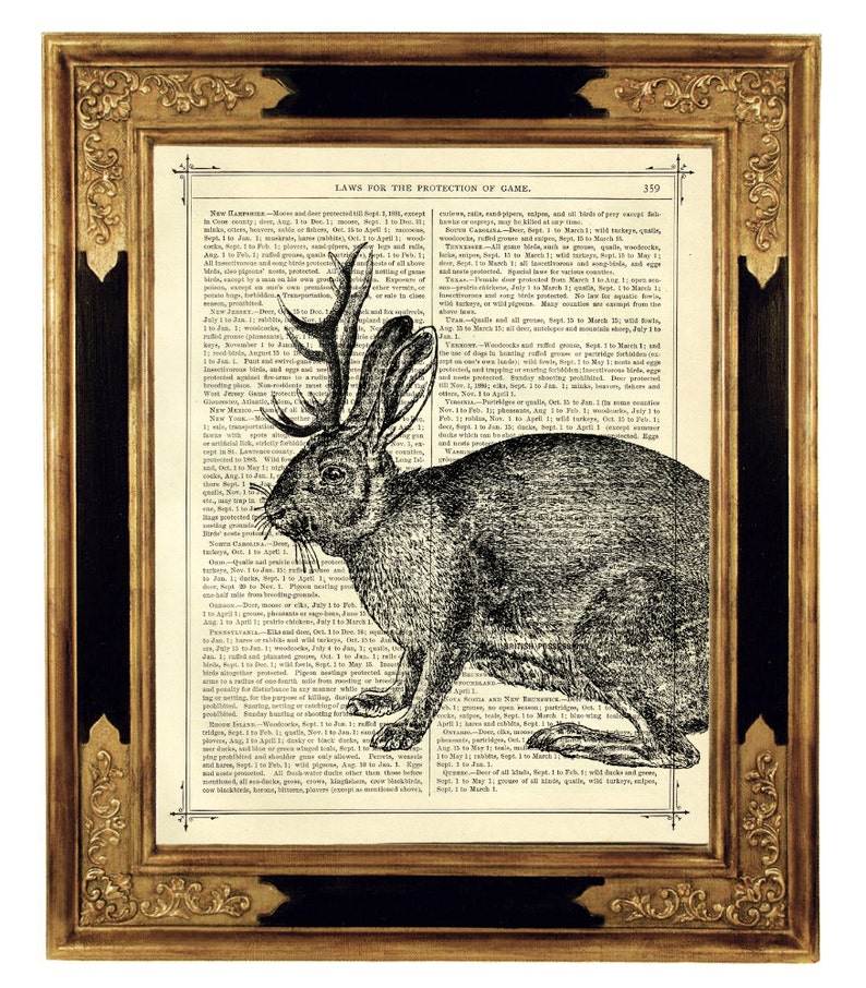 Jackalope Rabbit Art Print Deer Woodland Mythical Creature - Etsy