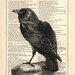 Halloween Raven Art Print Crow Bird Dictionary Dark Academia - Vintage ...