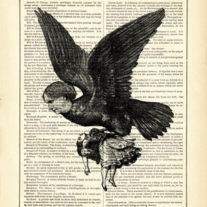 Harpy Raven Dictionary Crow Girl Gothic Fantasy Poster Dark Academia ...