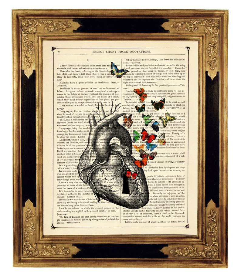 Anatomical Heart With Butterflies Flying Out of Keyhole - Etsy