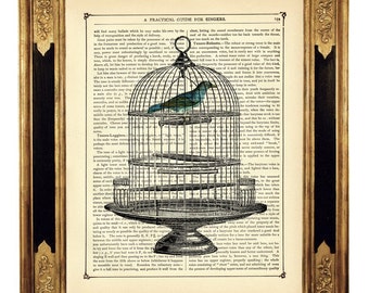 Bird Dictionary Art | Etsy