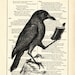 Raven Crow Reading Book Bird Dictionary Art Halloween Dark Academia ...