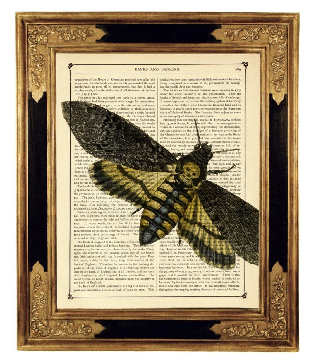 Death's Head Moth Hannibal Gothic Skull Halloween Insect Dark Academia ...