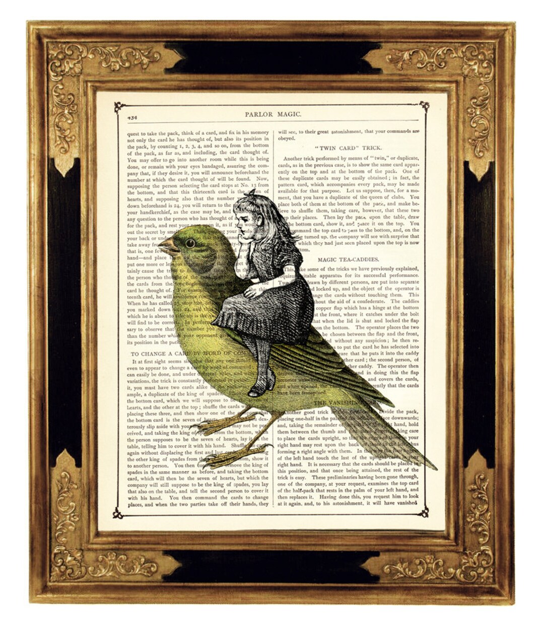 Girl Bird Dictionary Nursery Poster Spring Fantasy Cottagecore ...