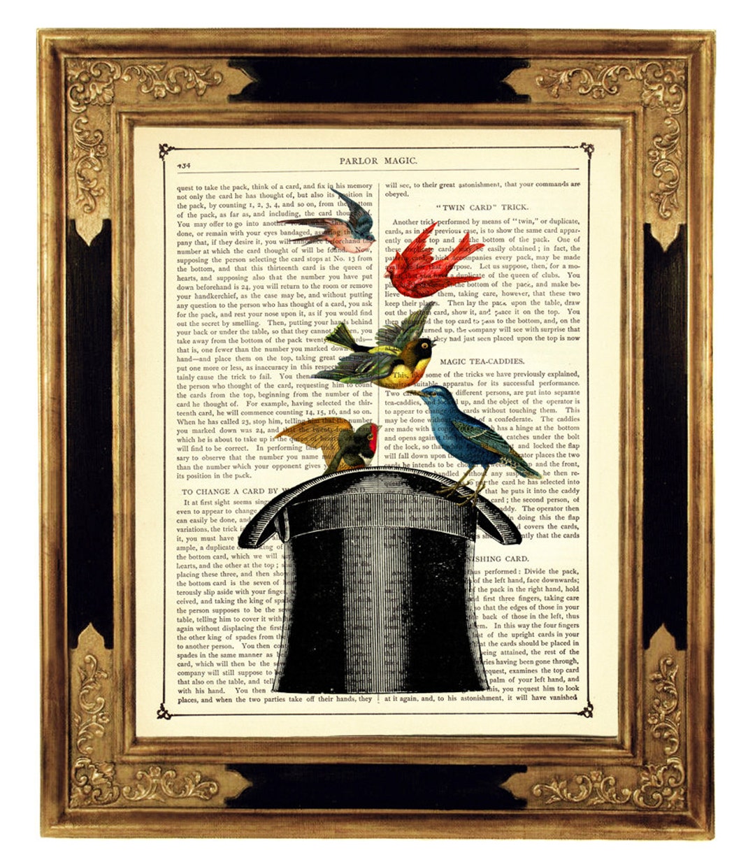 Birds Print Top Hat Magic Trick Poster Magician Wizard Cottagecore ...