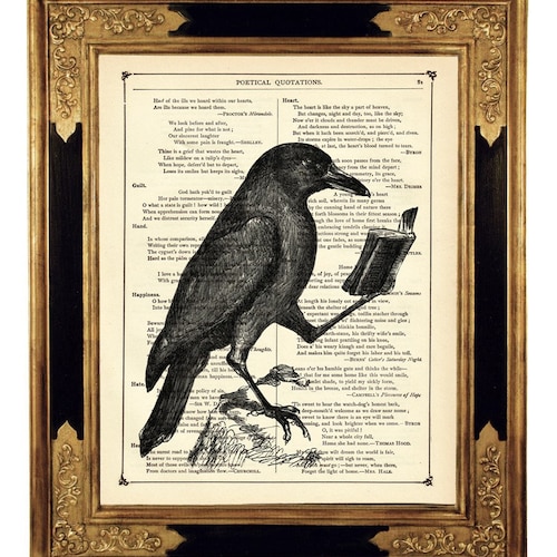 Raven Crow Reading Book Bird Dictionary Art Halloween | Etsy