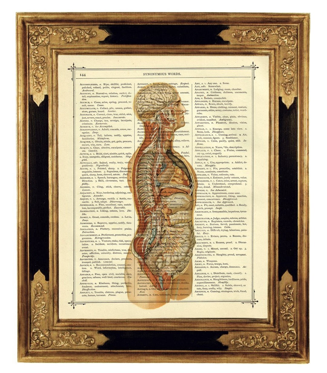 Anatomy Dictionary Art Torso Medical History Vintage Victorian Book ...