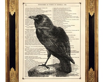 Bird Dictionary Art | Etsy