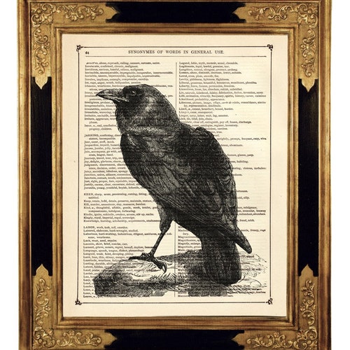 Raven Crow Reading Book Bird Dictionary Art Halloween - Etsy
