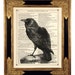 Halloween Raven Art Print Crow Bird Dictionary Art Vintage | Etsy