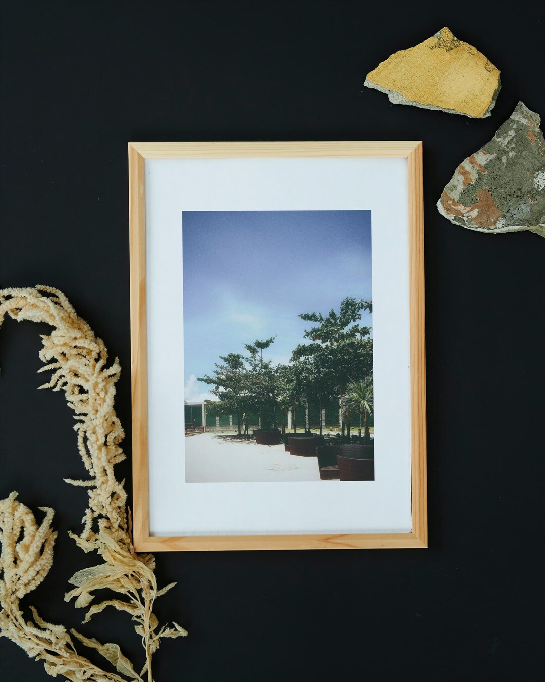 Cebu Tropical Resort Shade – Palm Trees & Summer Light Poster (color ...