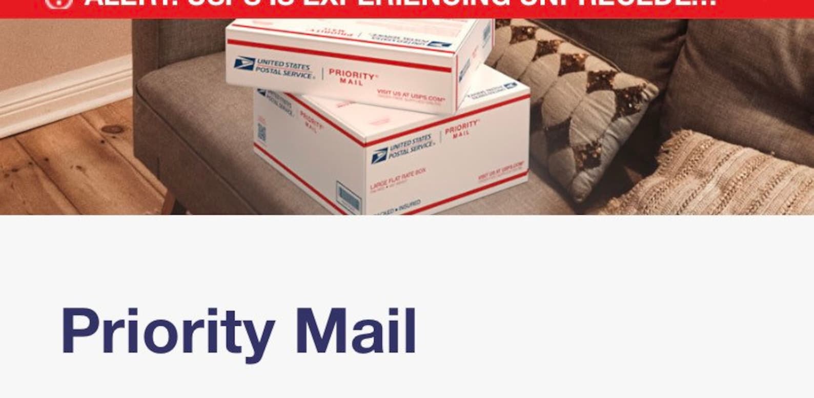 PRIORITY EXPRESS MAIL Larger Pkg - Etsy