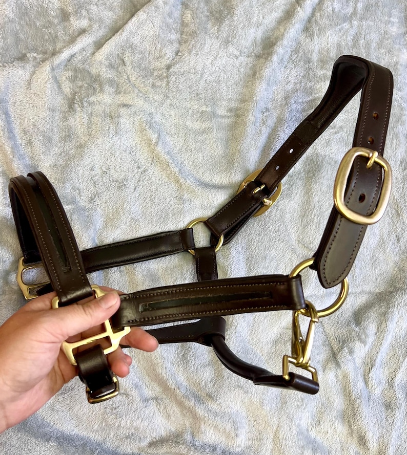 Empty Channel Leather Headcollar, Leather Halter Blank for ...