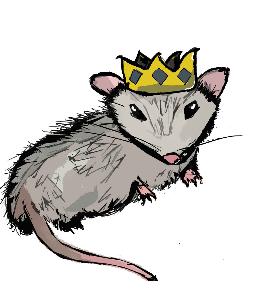 Carl (opossum) the Dumpster King - Vinyl Sticker - Etsy