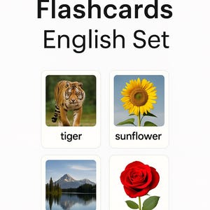 Preschool Flashcards Bundle.animals.numbers.nature.colors. PDF - Etsy