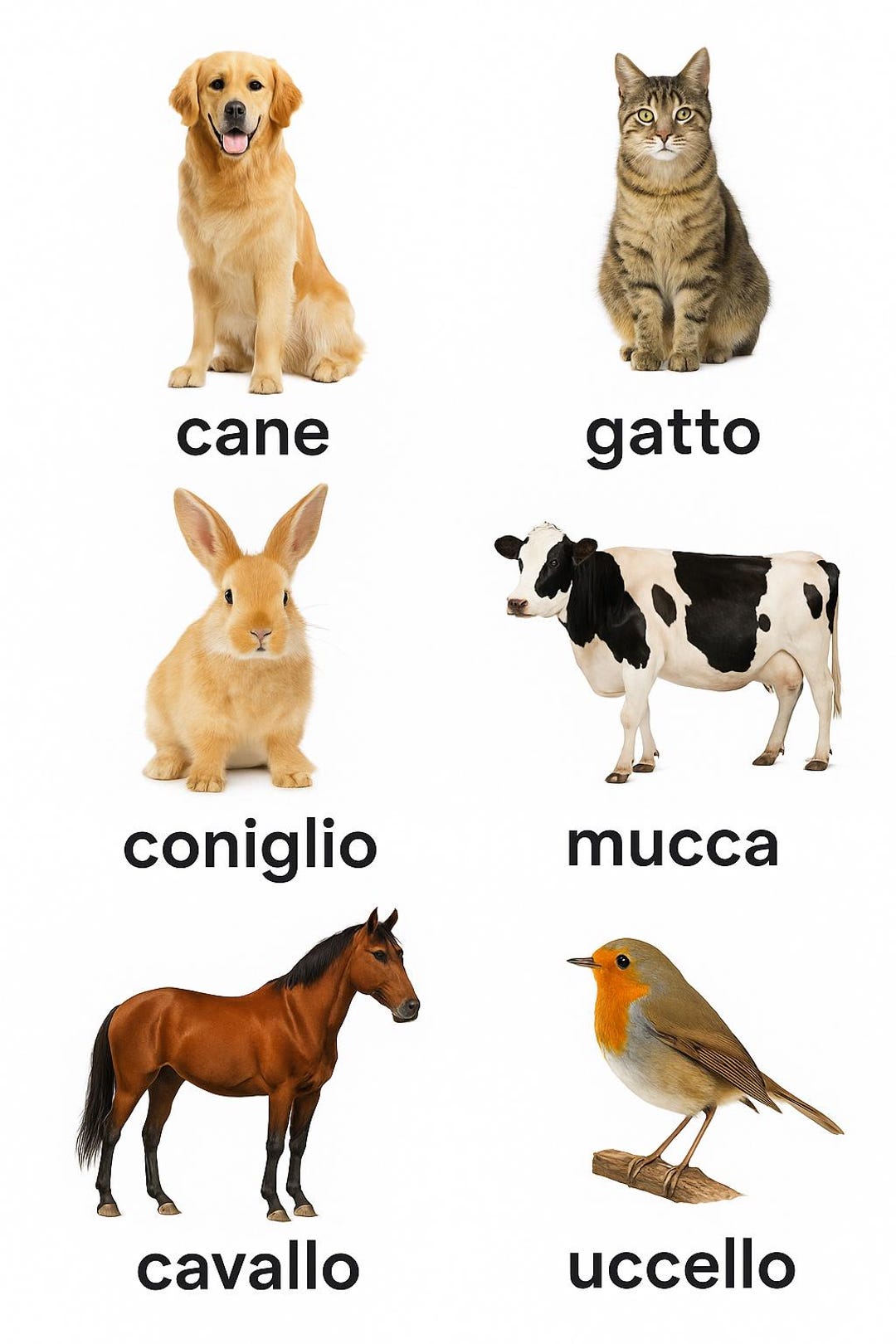 Printable Italian Flashcards for Children-natura(animals,plants,weather ...
