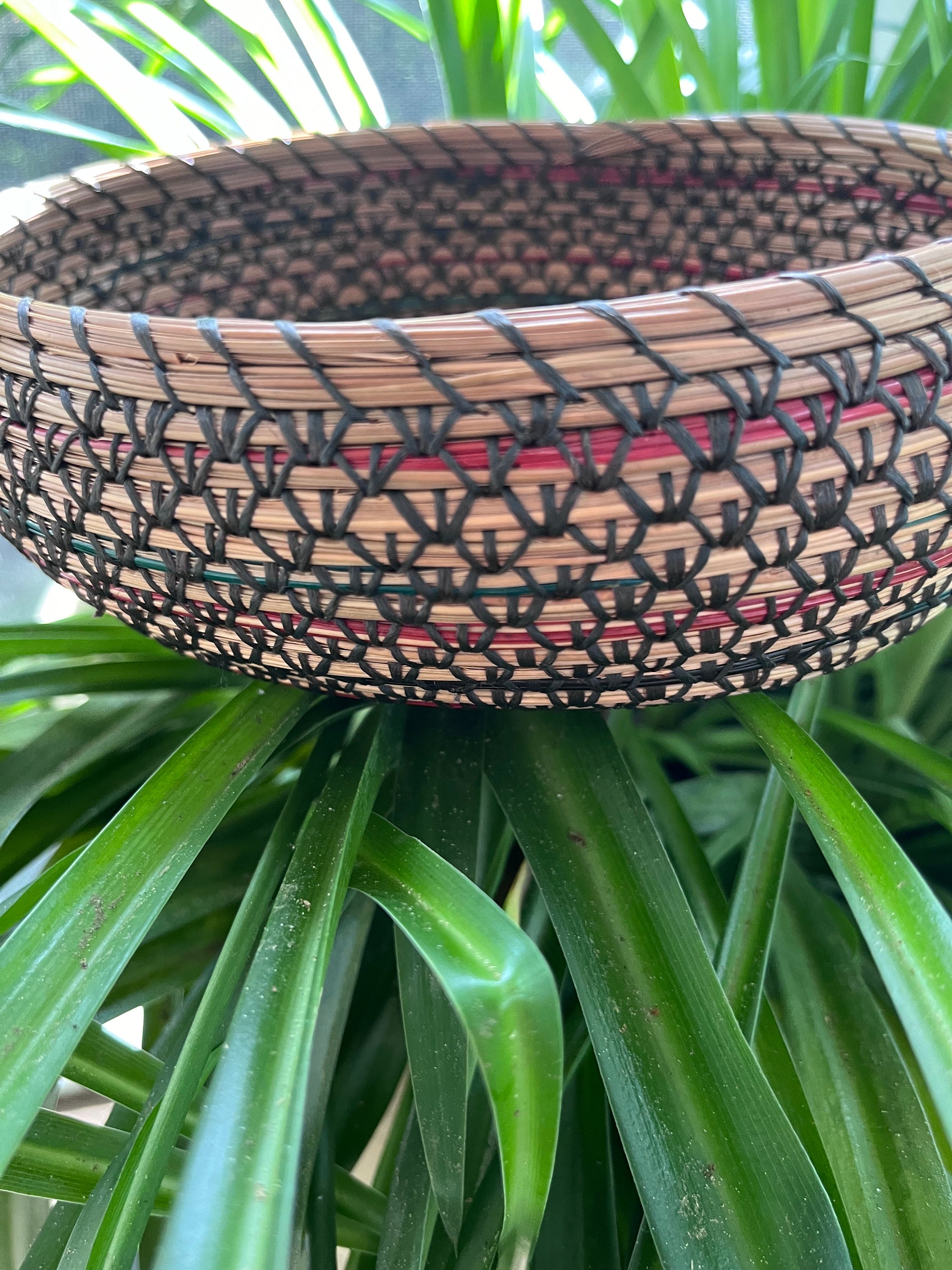 Southern Long Leaf Pine Needle Basket - Etsy
