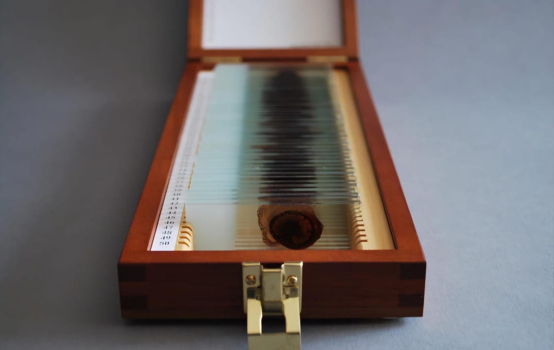 Dexter Resurrection Trophy Box & 46 Blood Slides - Handcrafted ...