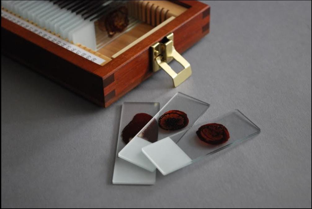 Dexter Resurrection Trophy Box & 46 Blood Slides - Handcrafted ...