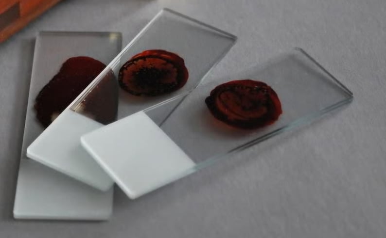 Dexter Resurrection Trophy Box & 46 Blood Slides - Handcrafted ...