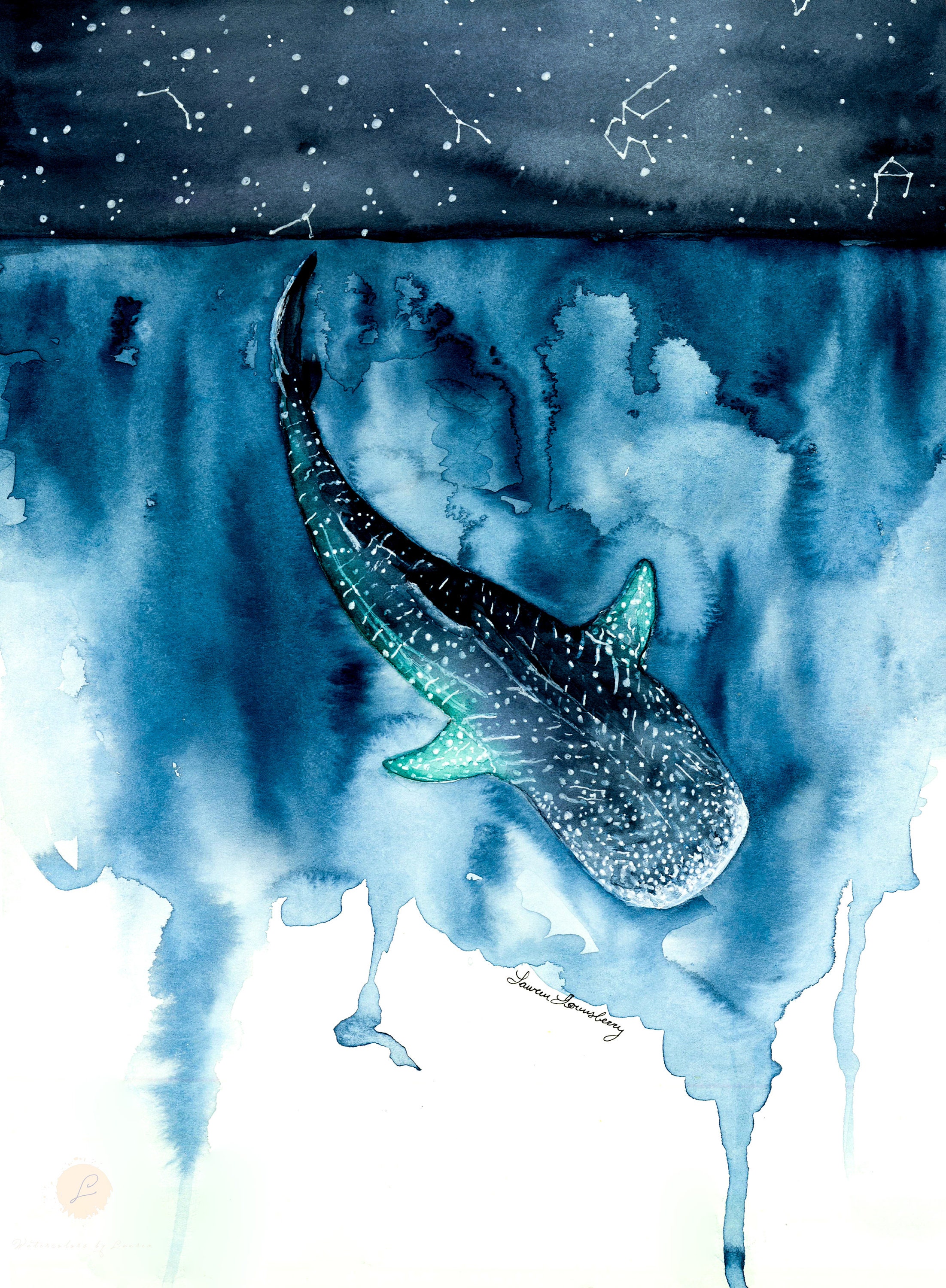 Whale Shark Constellations Print - Etsy