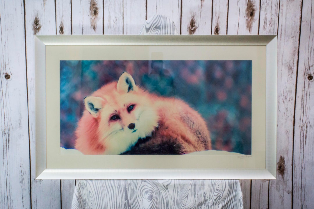 Fire and Ice Fox in Custom Champagne Metal Frame - Etsy
