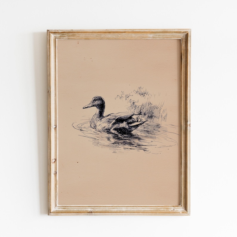 Vintage Mallard Duck Sketch | Mallard Duck Handdraw | Gift for Duck ...