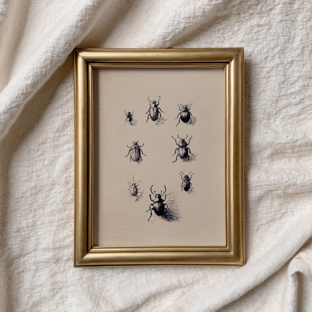 Vintage Beetle Sketch Print | Rustic Insect Wall Art | Antique ...