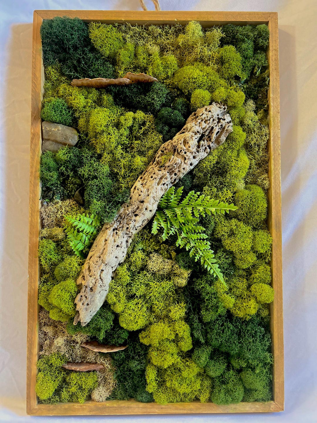 Earthy Forest Moss Frame, Woodland Moss Wall Art, Moss and Driftwood ...