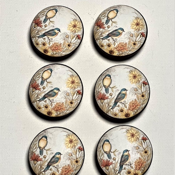 Bird Door Knobs - Etsy