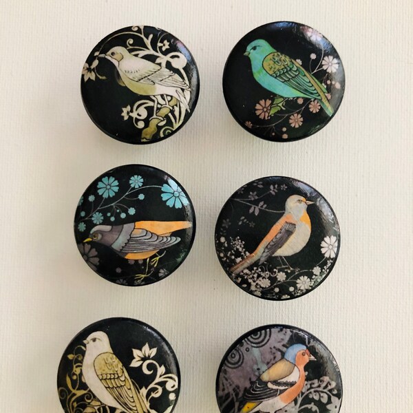 Bird Door Knobs - Etsy
