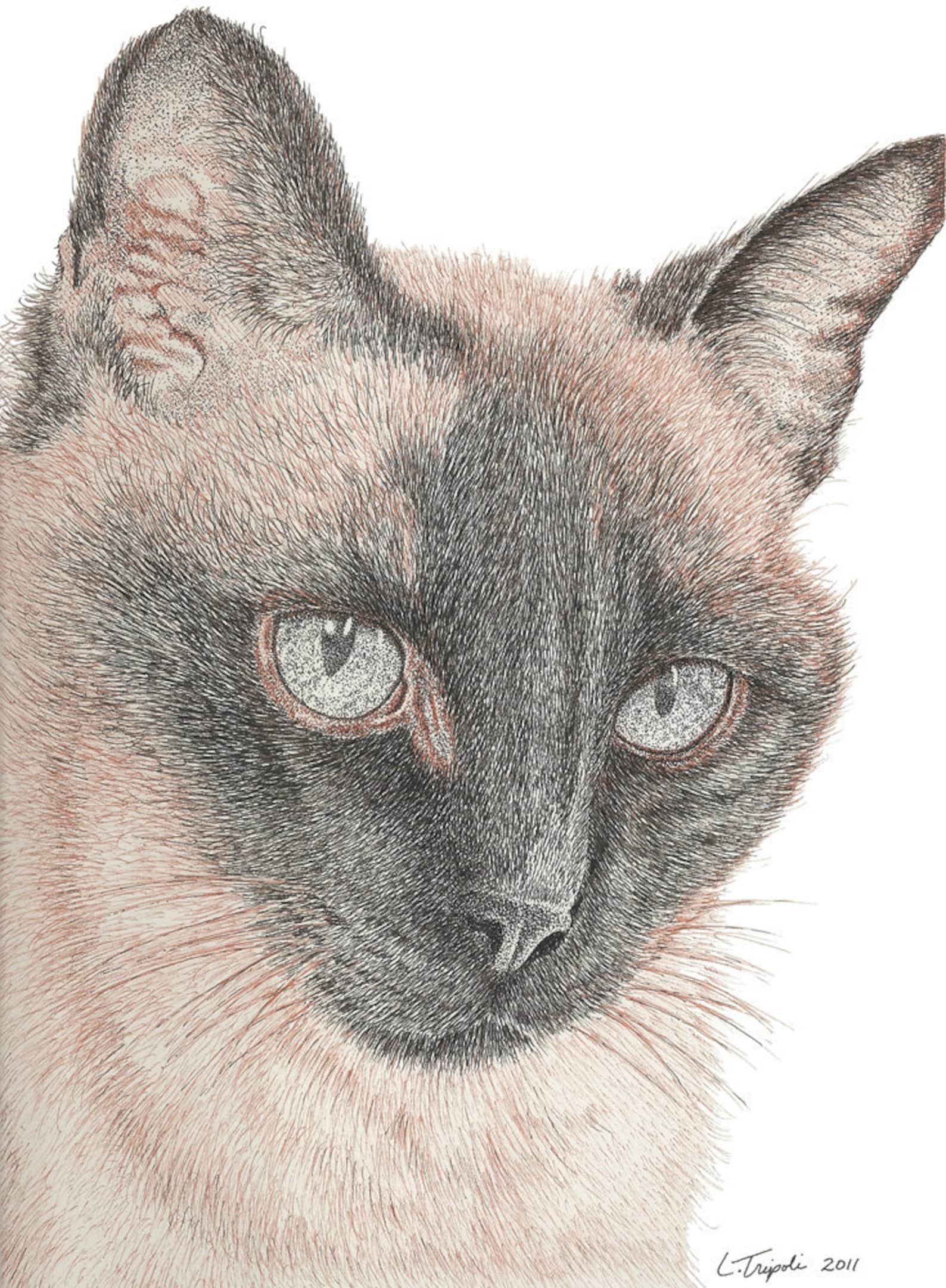 Chin Shu - 11 X 14 Matted Print - Etsy