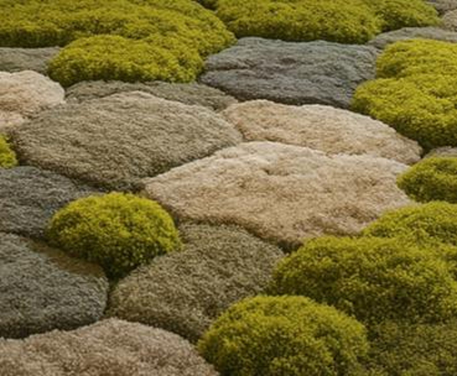 Handmade Tufted Moss Rug – 3D Landscape Carpet, Nature Inspired - Etsy