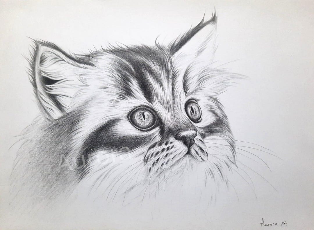 Gray Tabby Kitten Painting / Cat Graphite / Black and White Artist ...