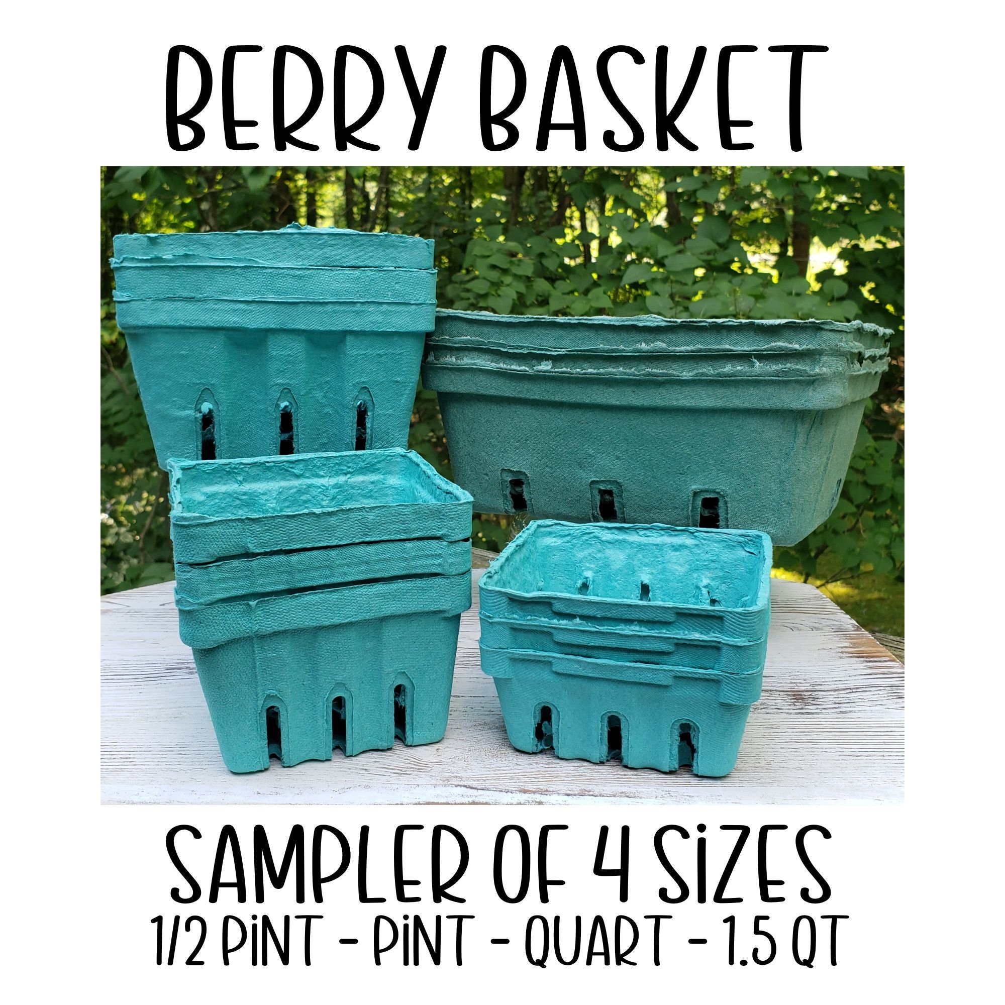 12 Berry Baskets Sampler Food Grade Berry Basket Wedding Party Favor ...